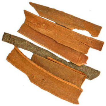 cinnamon Flat / दालचीनी - keralaspicecart kerala spices online